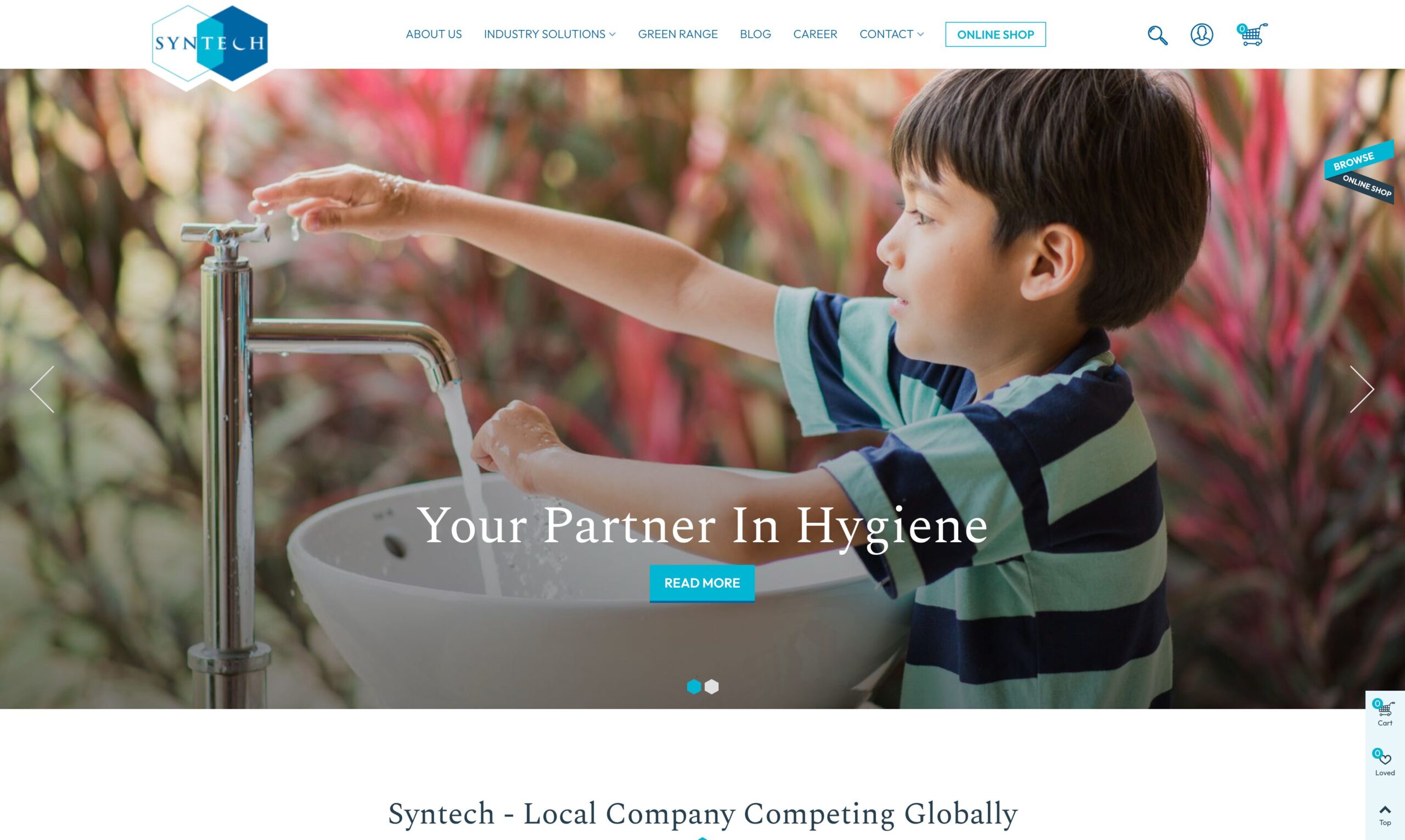 Website Developer for SynTech Chemicals - eFusion Technology