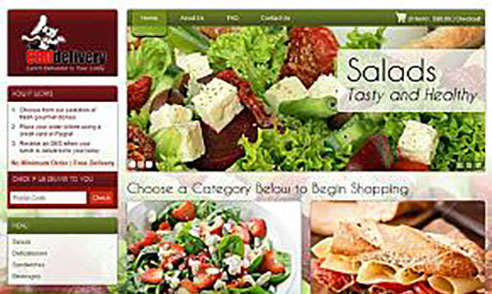 Website Designer for CBD Delivery - eFusion Technology