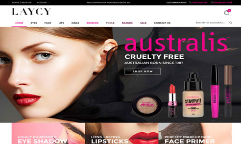 Website Developer for Laycy - eFusion Technology
